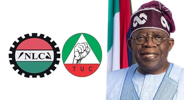 Probe non-implementation of 70,000 minimum wage for us —Federal Workers tell Tinubu - Sunshine ...